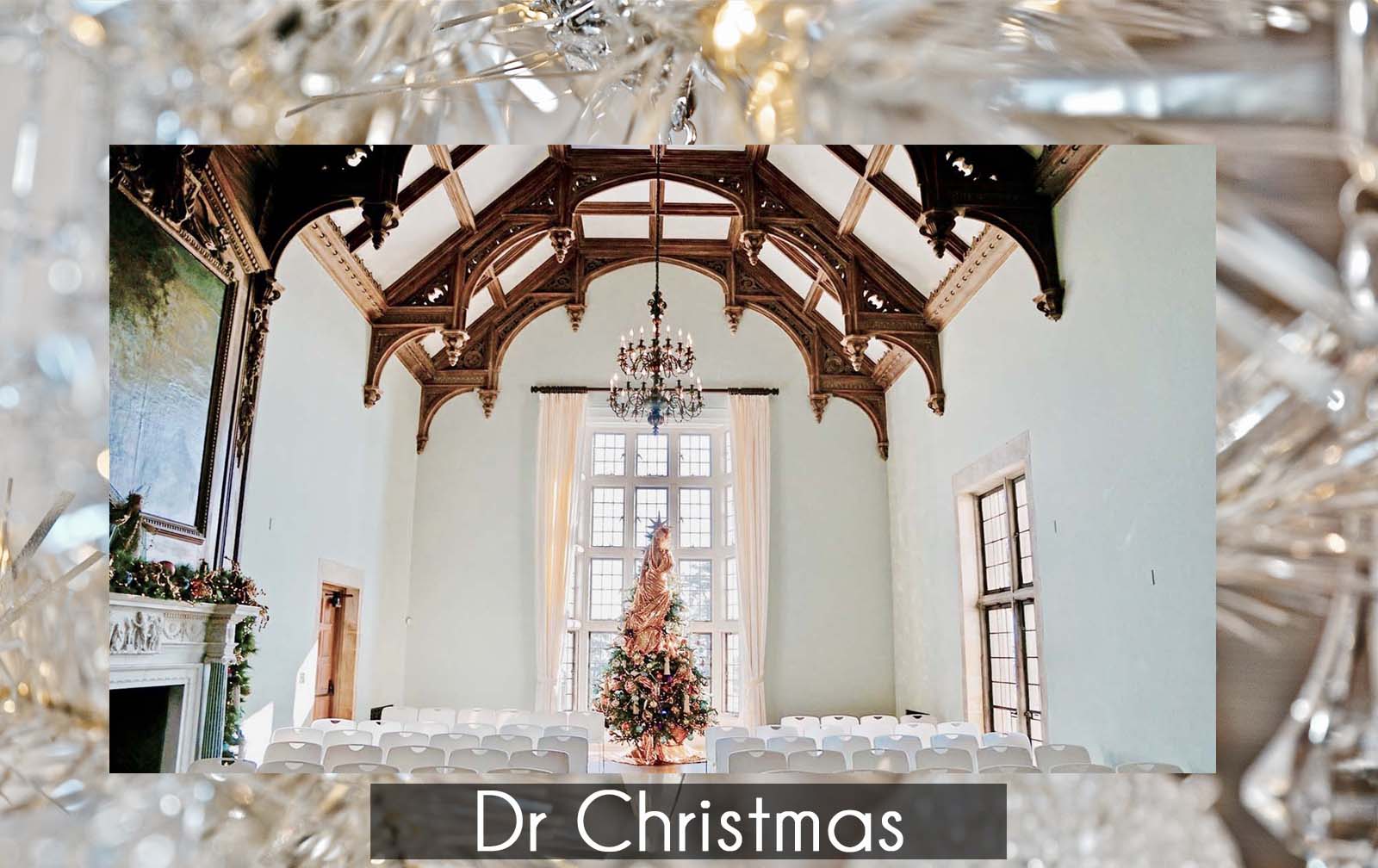 Dr Christmas - Tree Stylist To The Stars!