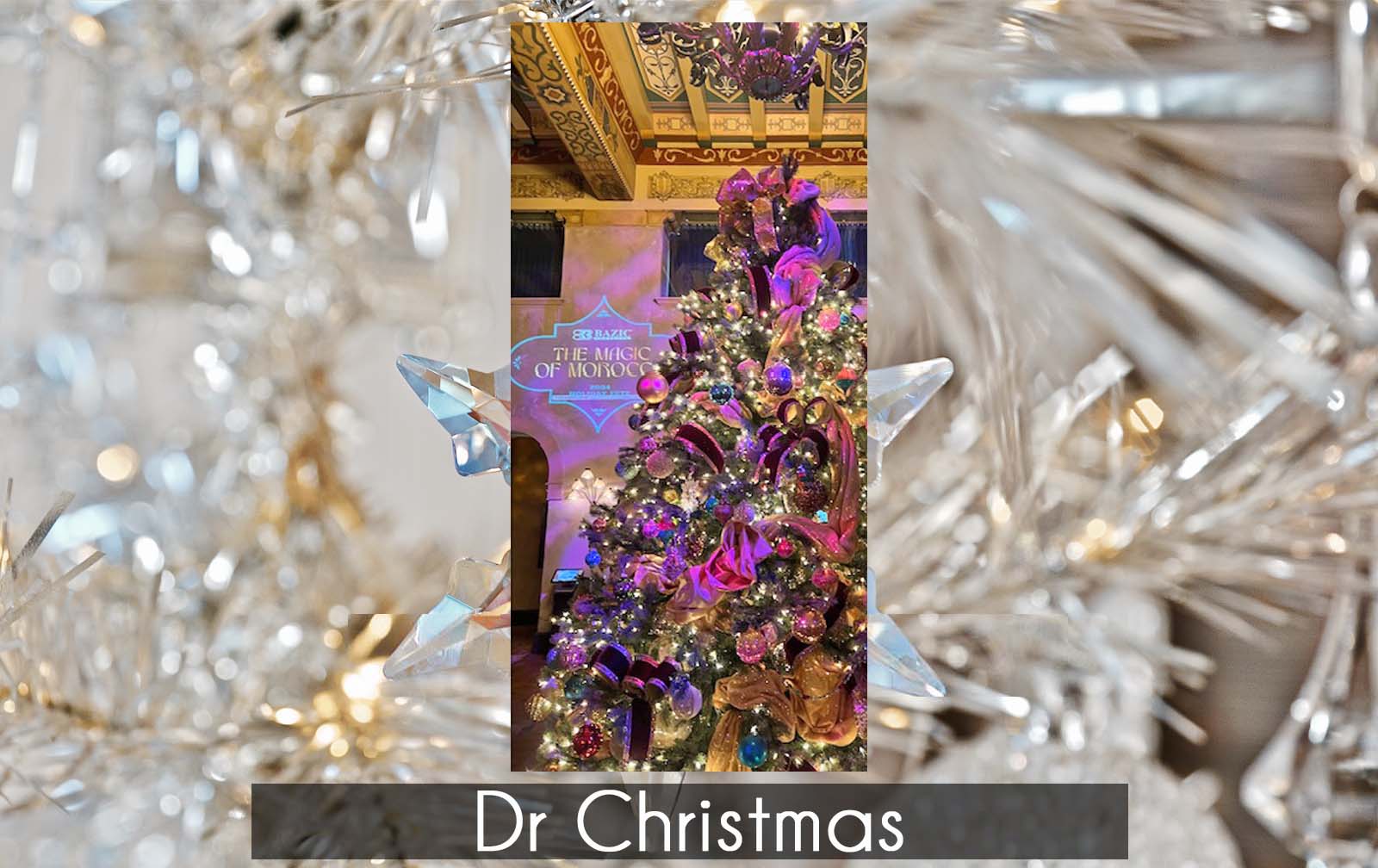 Dr Christmas - Tree Stylist To The Stars!