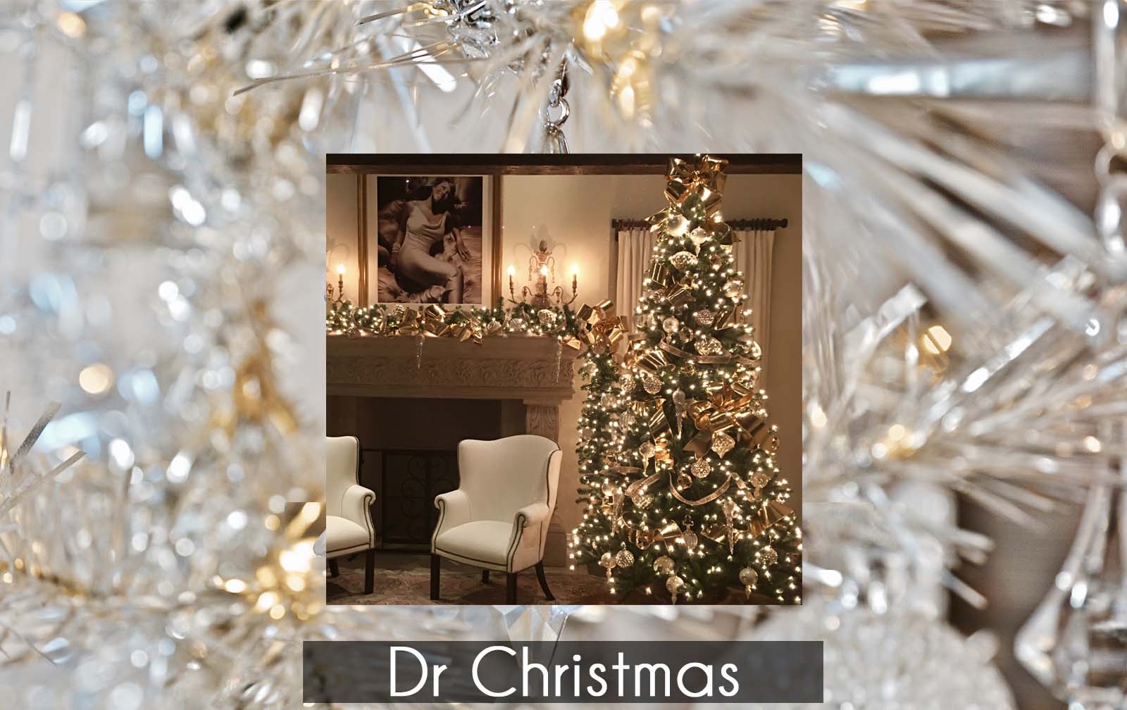 Dr Christmas - Tree Stylist To The Stars!