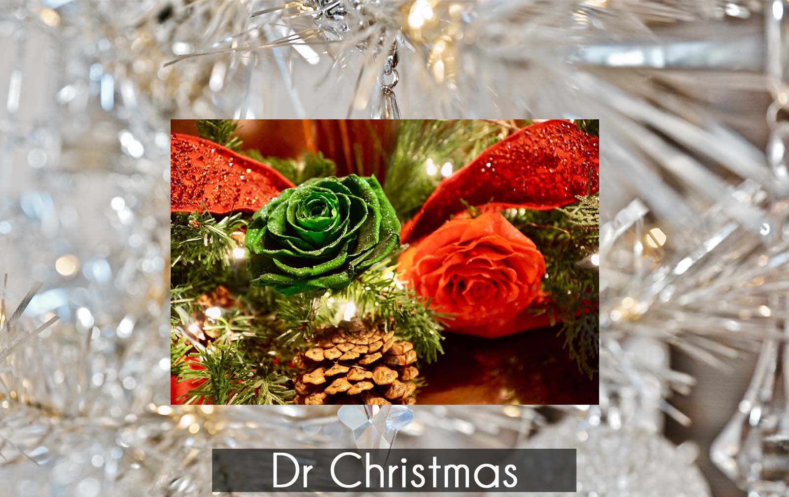 Dr Christmas - Tree Stylist To The Stars!