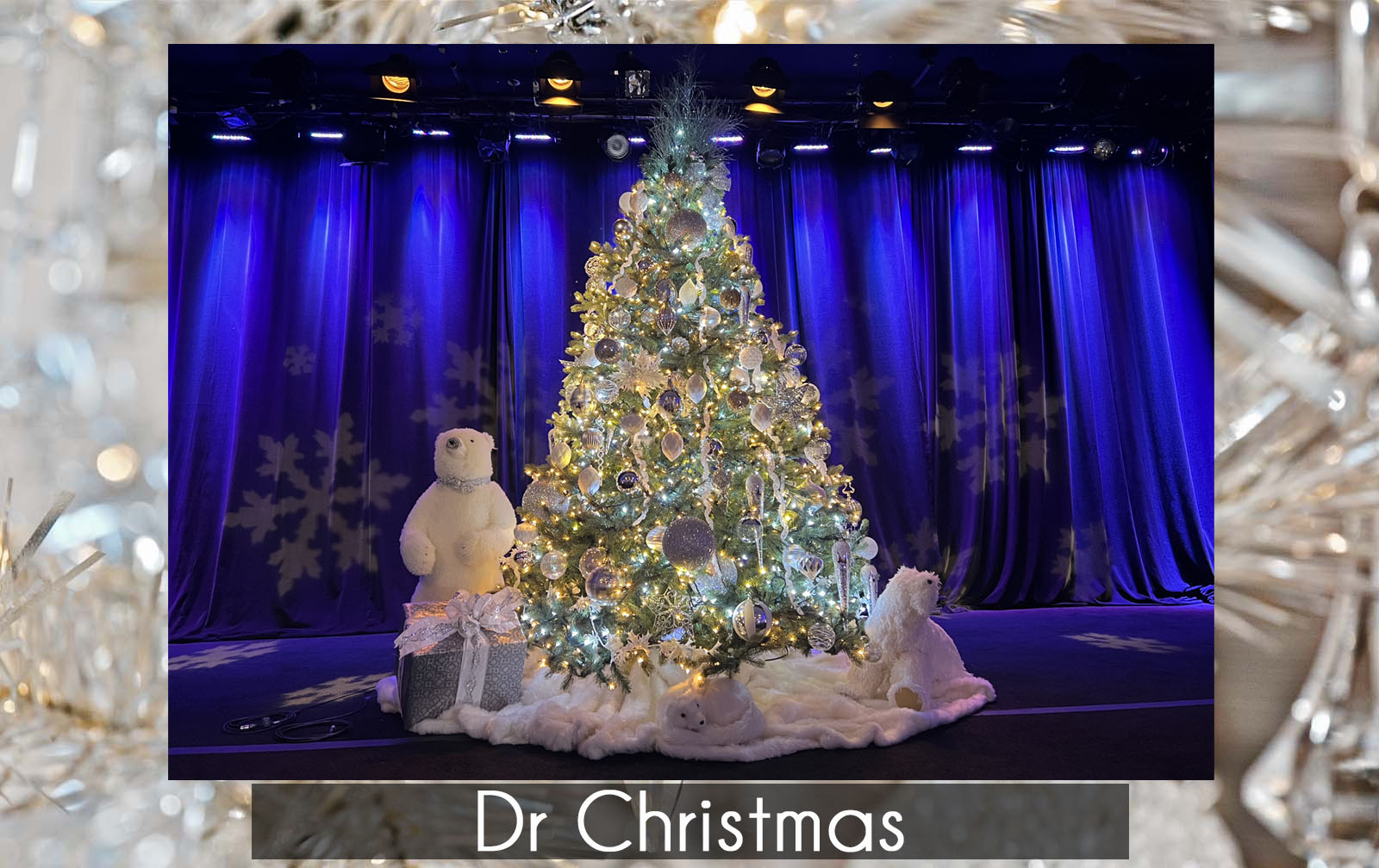 Dr Christmas - Tree Stylist To The Stars!