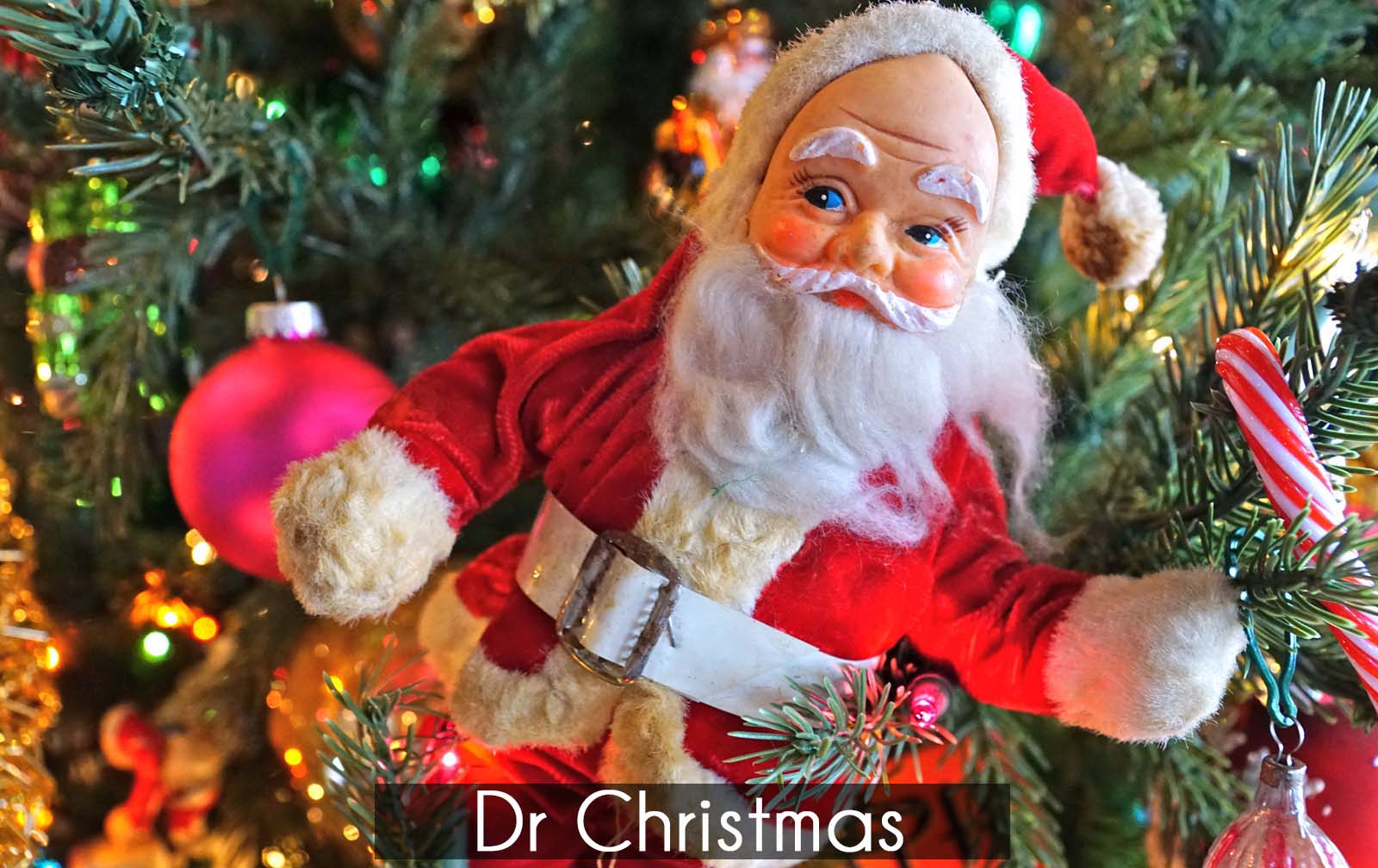 Dr Christmas - Tree Stylist To The Stars!